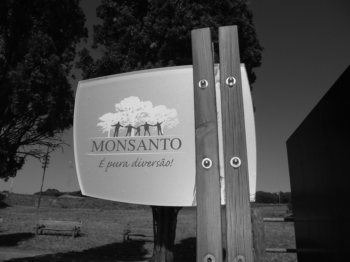 Monsanto F1 Circuit Now and No Then | iberianmph.com